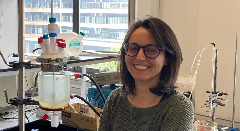 ERC projects | Politecnico di Torino